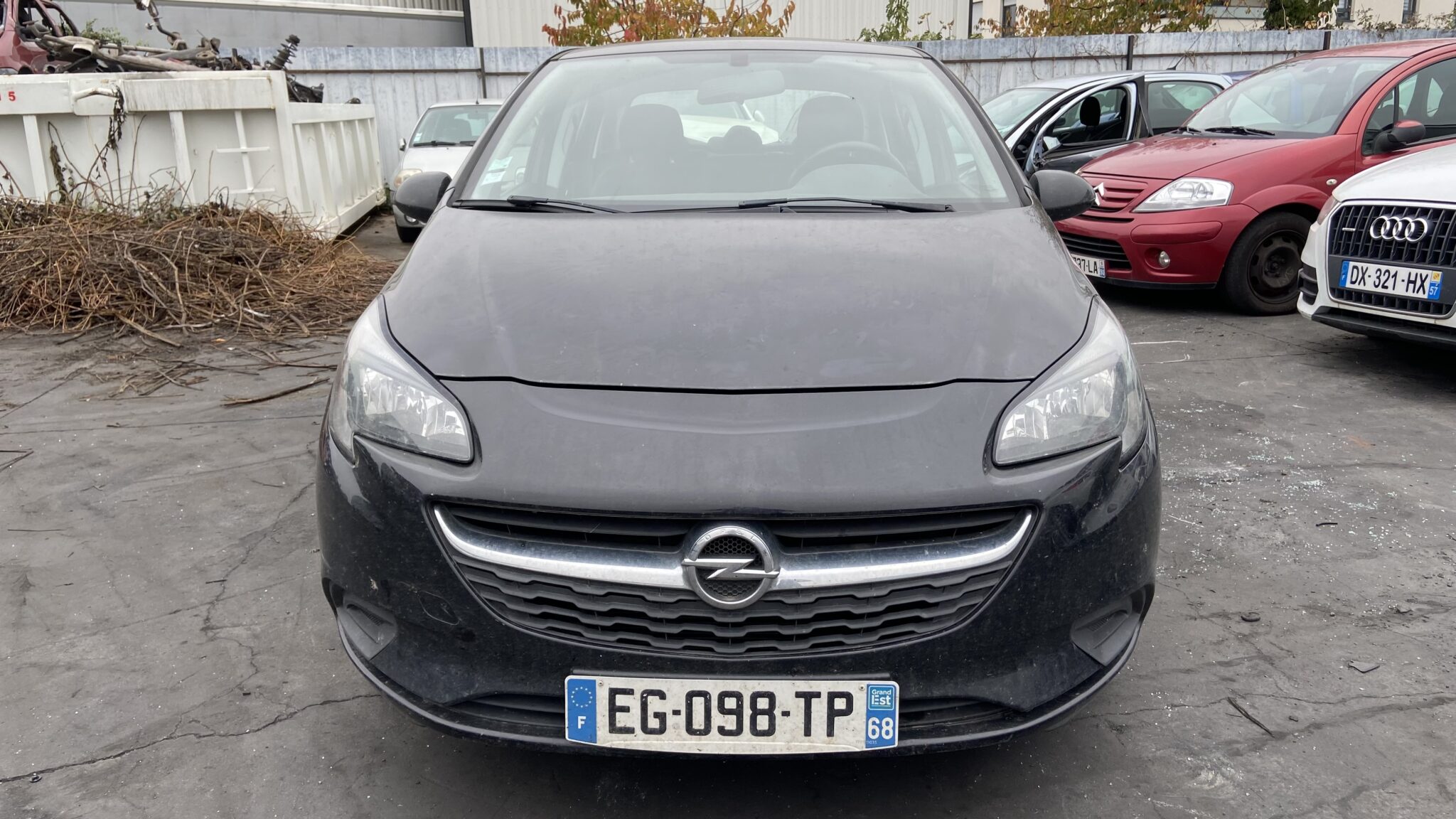 Bebing Archives - Bebing Auto